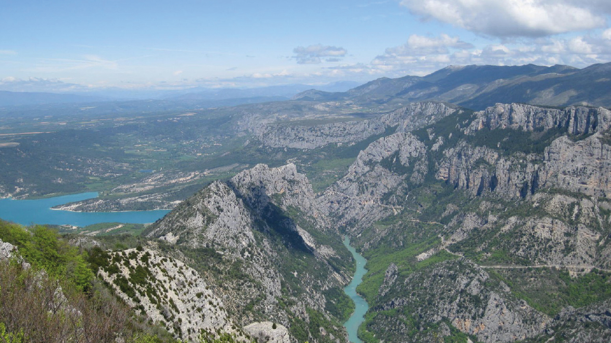Suncha - Verdon